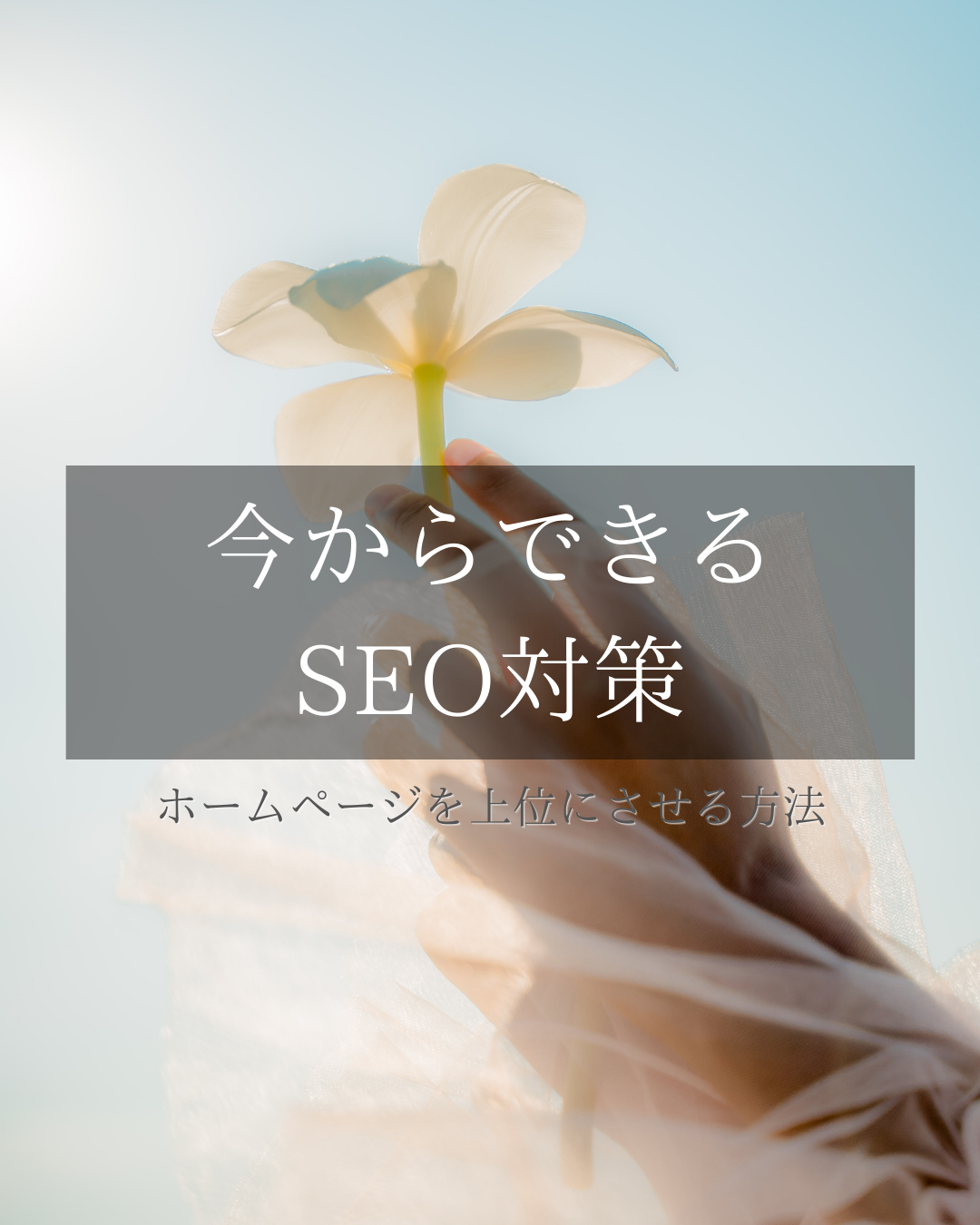 WEBデザイン制作 Sui Design（スイデザイン） | 愛知県名古屋市を中心に活動中